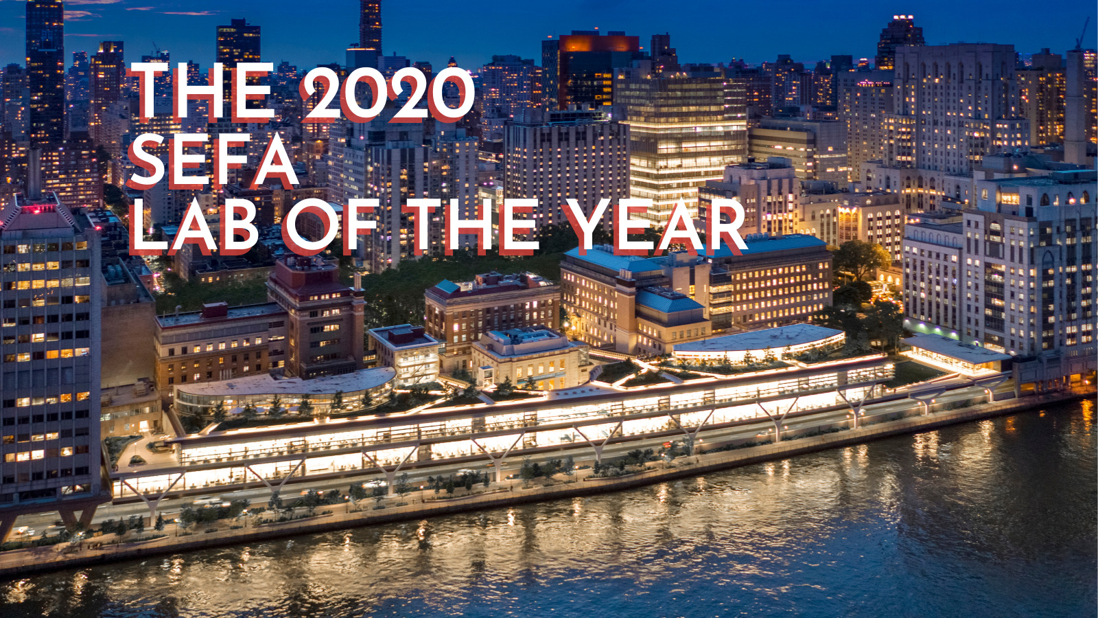 SEFA LAB OF THE YEAR - Bicasa